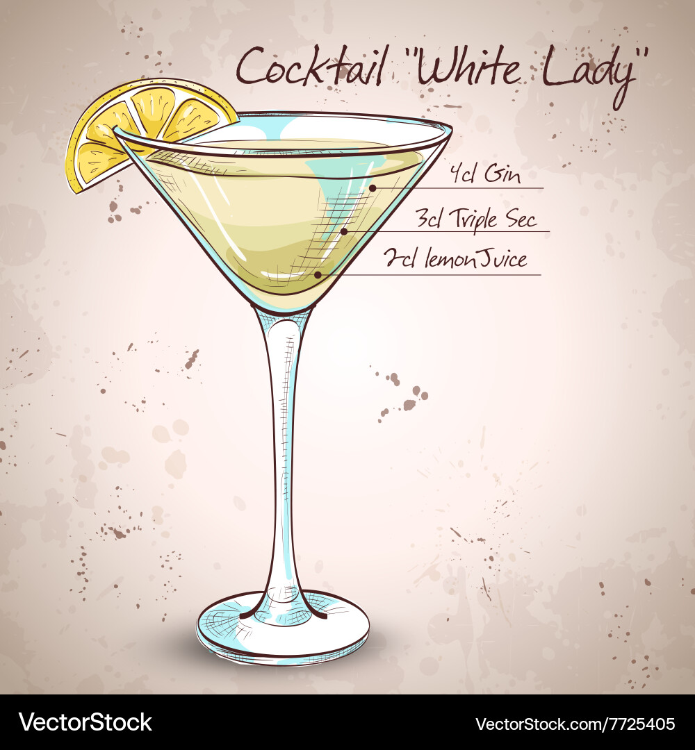 White lady cocktail Royalty Free Vector Image - VectorStock