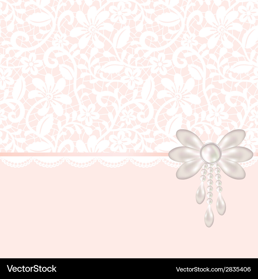 Lace fabric background Royalty Free Vector Image