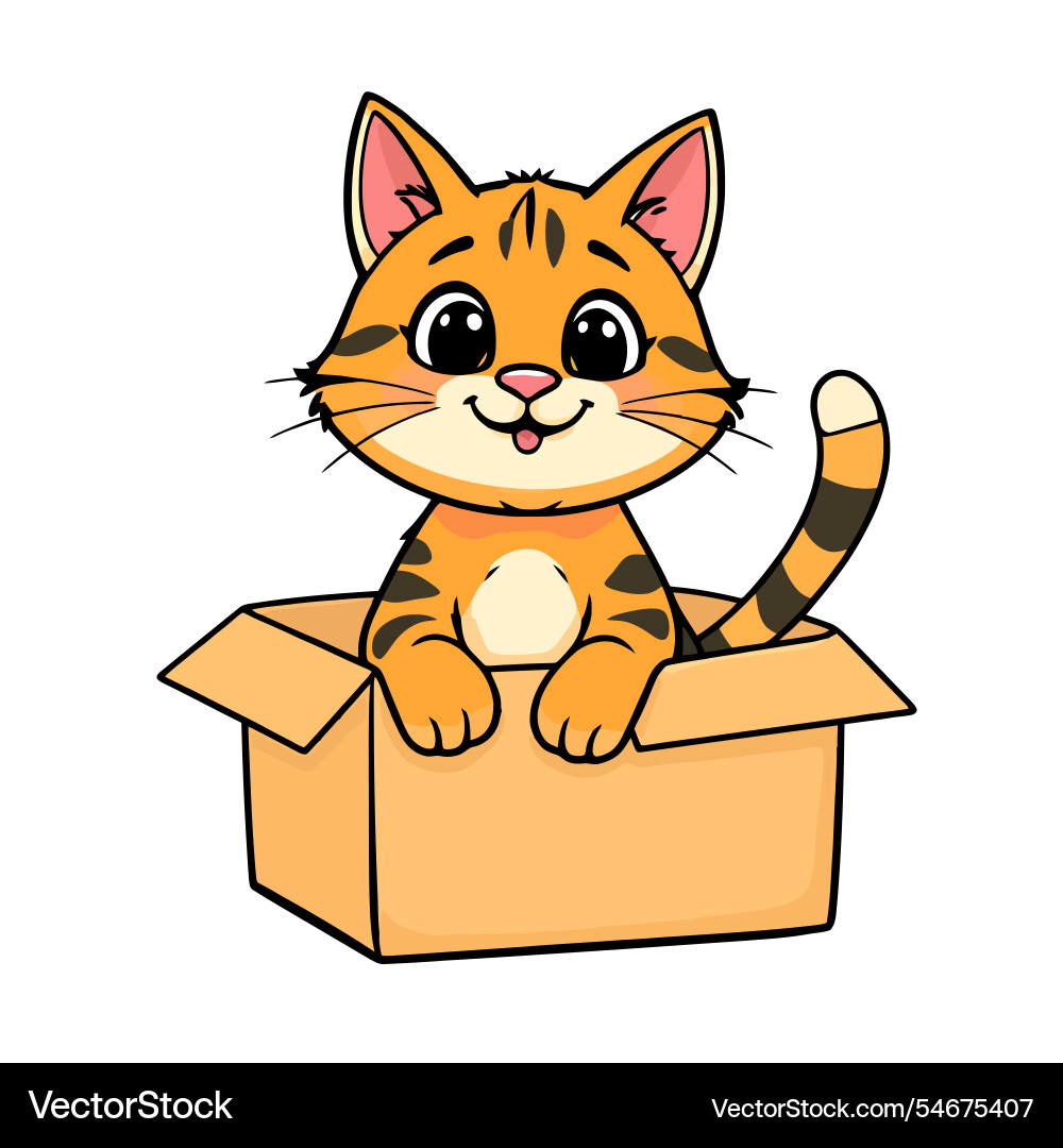 A cat sitting in box Royalty Free Vector Image