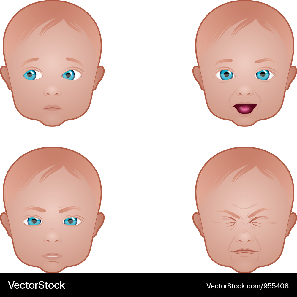 Baby faces Royalty Free Vector Image - VectorStock