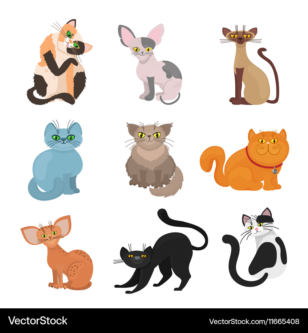 Cartoon domestic cats Royalty Free Vector Image