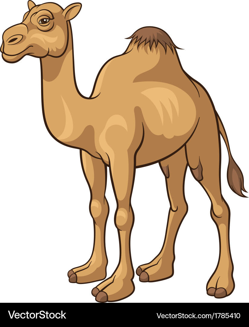 Camel Royalty Free Vector Image - VectorStock