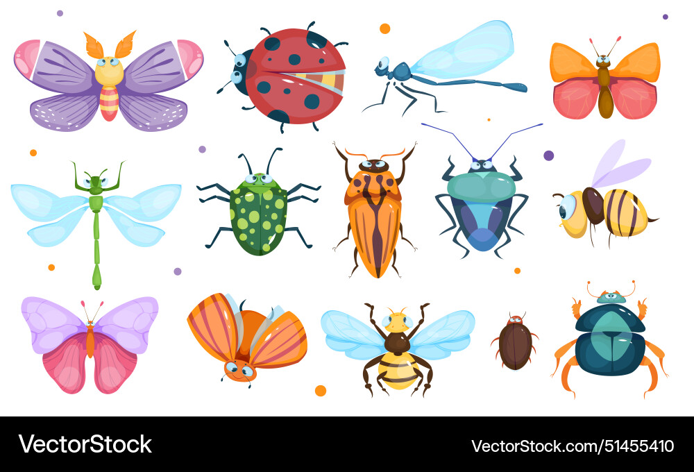 Set of cute bugs Royalty Free Vector Image - VectorStock