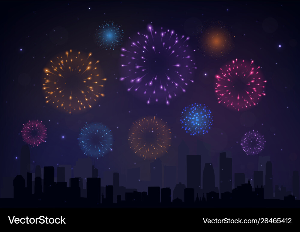 Bright colorful fireworks on night background Vector Image