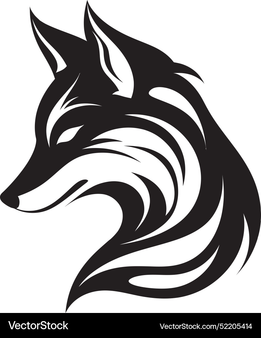 Foxes in wildlife conservationthe elusive gray fox