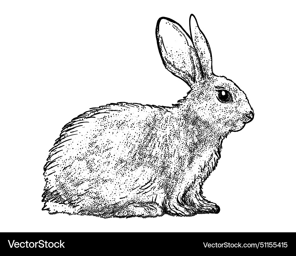 Hand drawn sketch rabbit for your design ink cute Vector Image