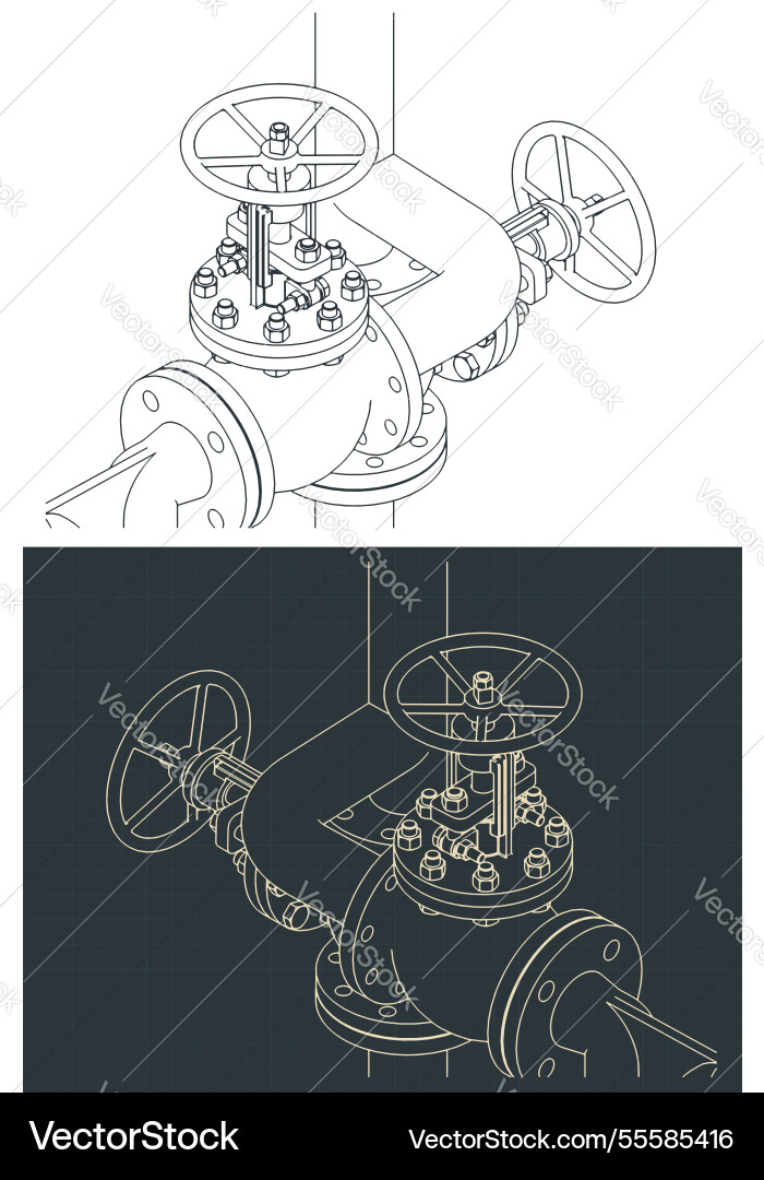 Globe valves isometric blueprints Royalty Free Vector Image