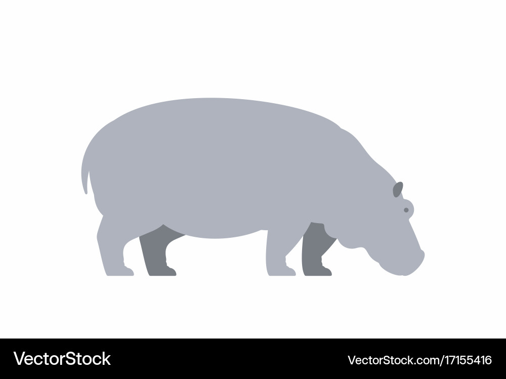 Hippo Royalty Free Vector Image - VectorStock