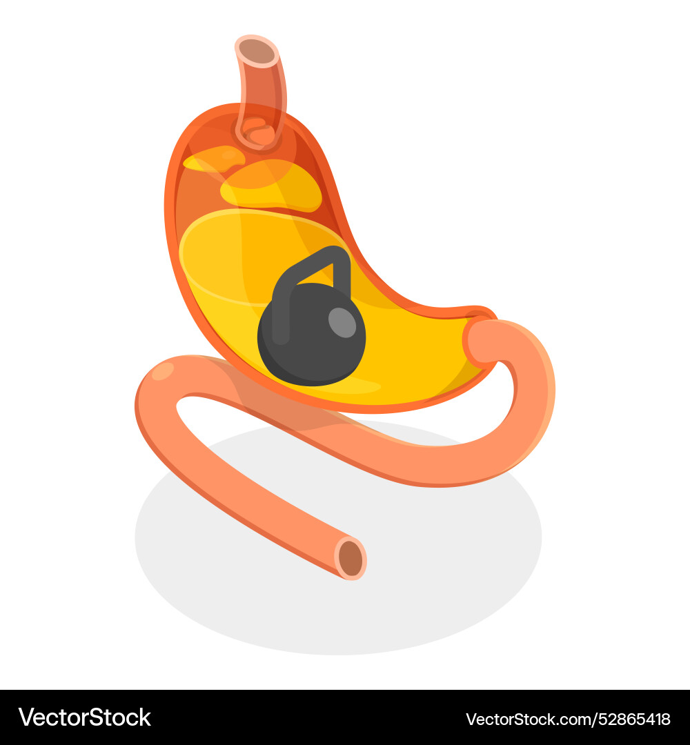 3d isometric flat set of stomach problems Vector Image