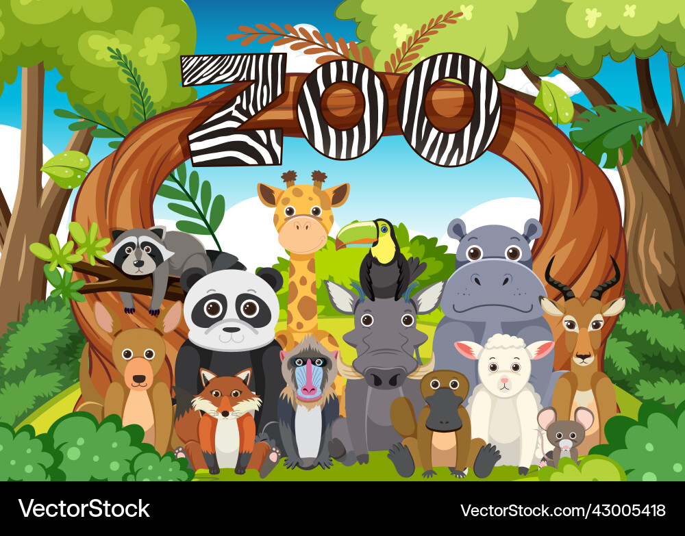 Cartoon Zoo Animals Wild Forest Animals SVG Bundle PNG Set Cute Zoo
