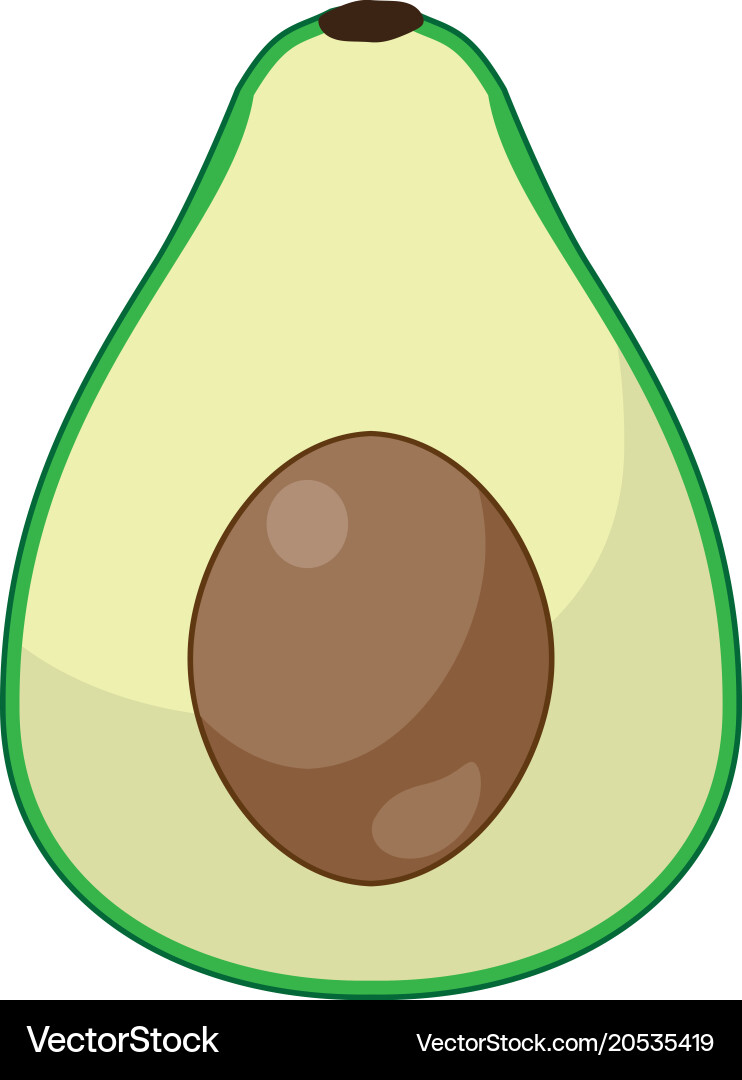 Avocado Royalty Free Vector Image - VectorStock