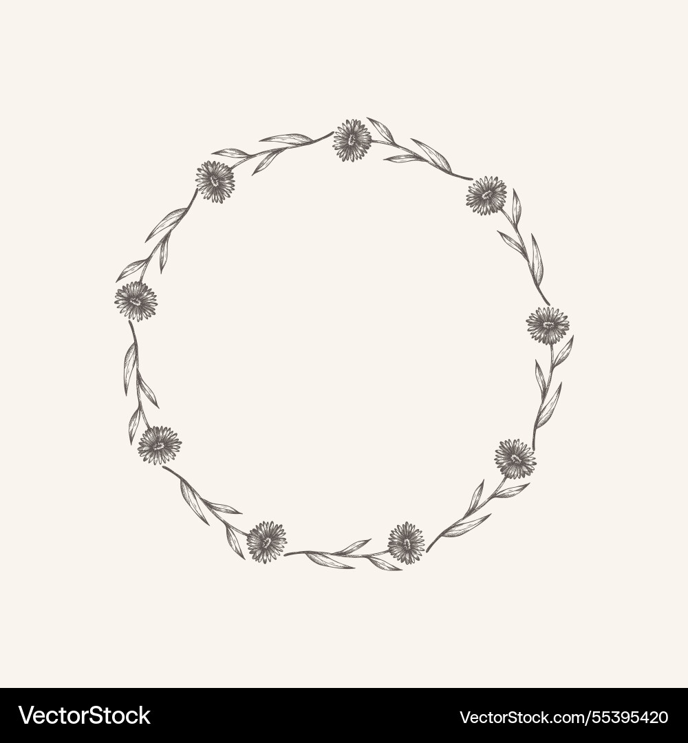 Engraved floral frame with calendula flower Vector Image