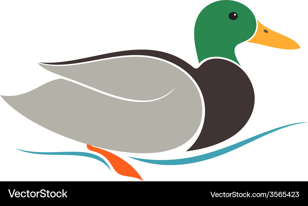 Duck Royalty Free Vector Image - VectorStock