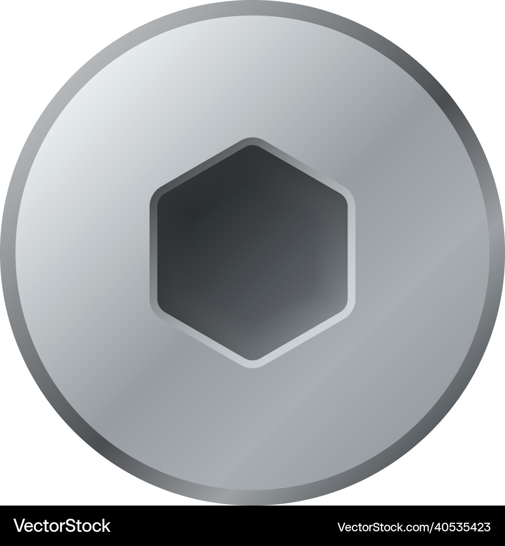 Hex bolt head silver metal fastener from Vector Image