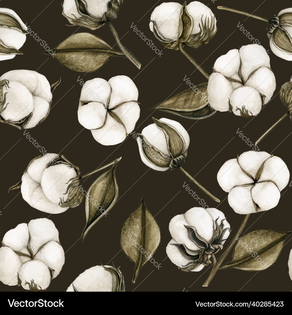 Watercolor Cotton Flowers Pattern Royalty Free Vector Image