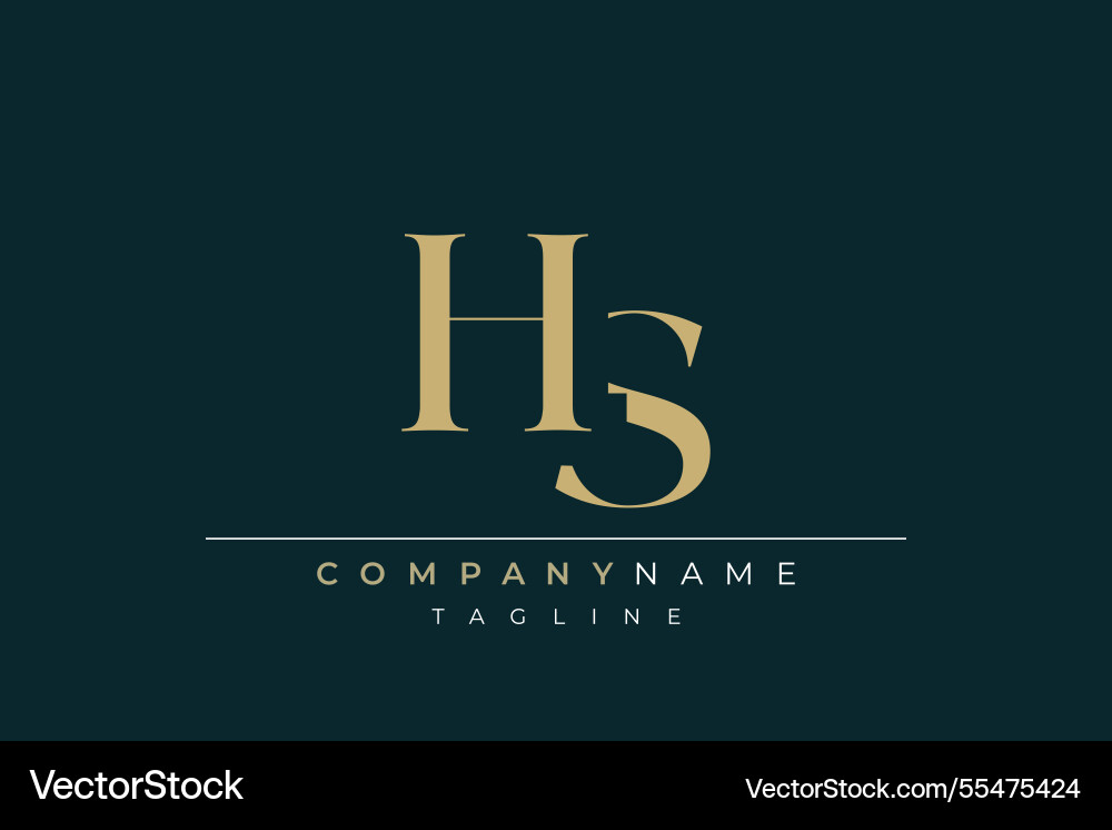 Hs abstract logo design Royalty Free Vector Image