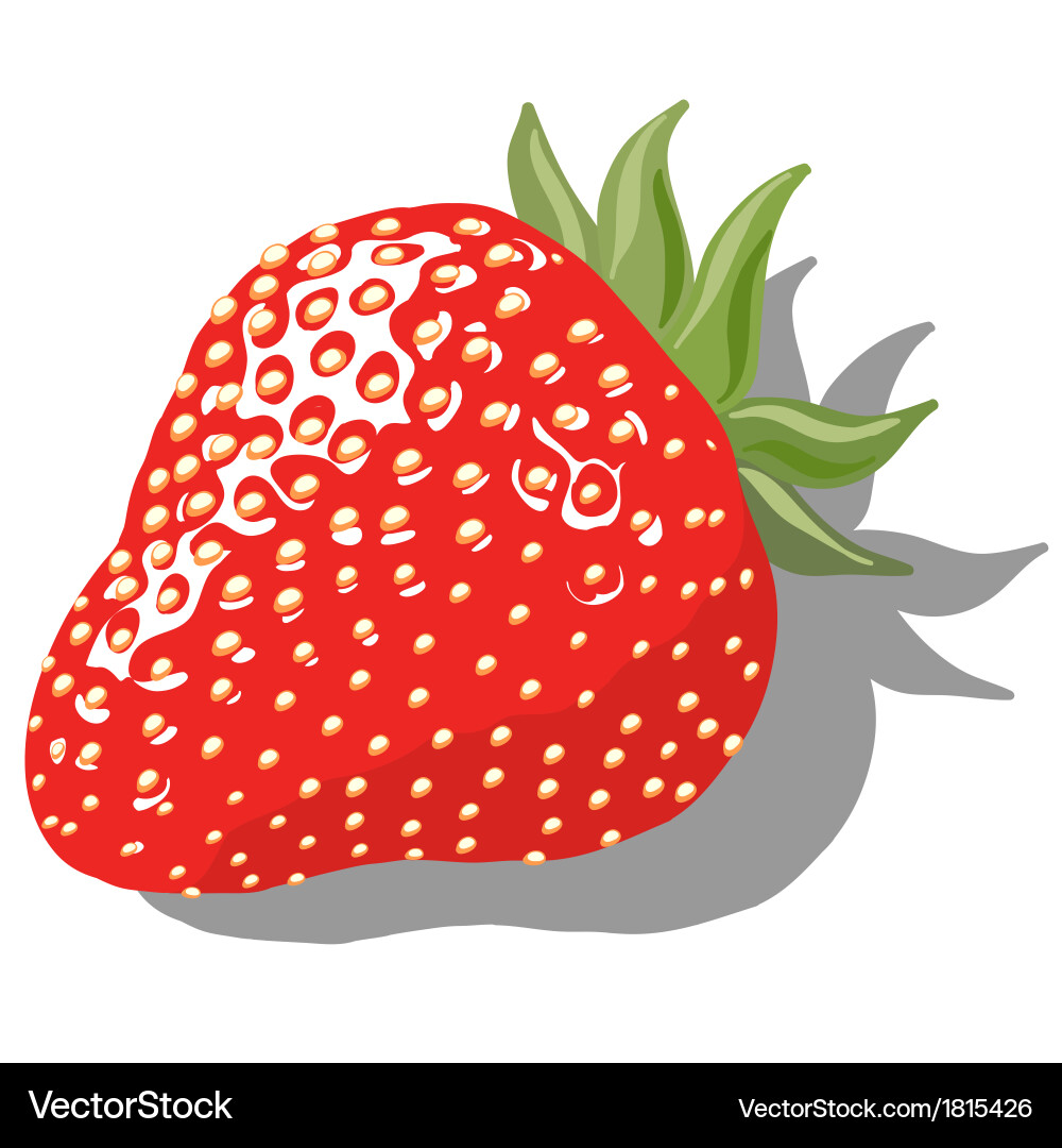 Strawberry Royalty Free Vector Image - VectorStock