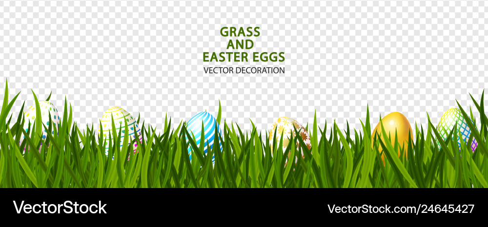 Green grass with easter eggs on transparent Vector Image