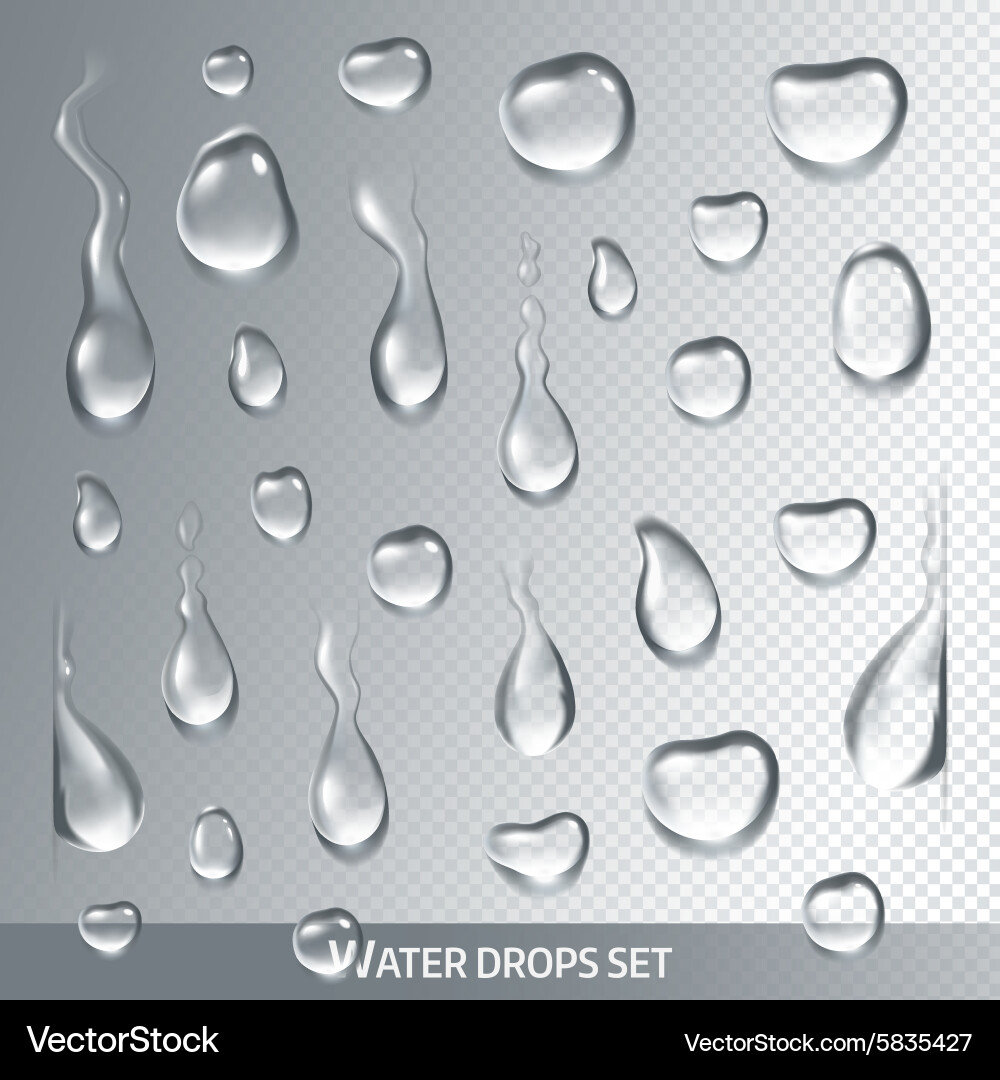 Realistic transparent drops pure clear water Vector Image