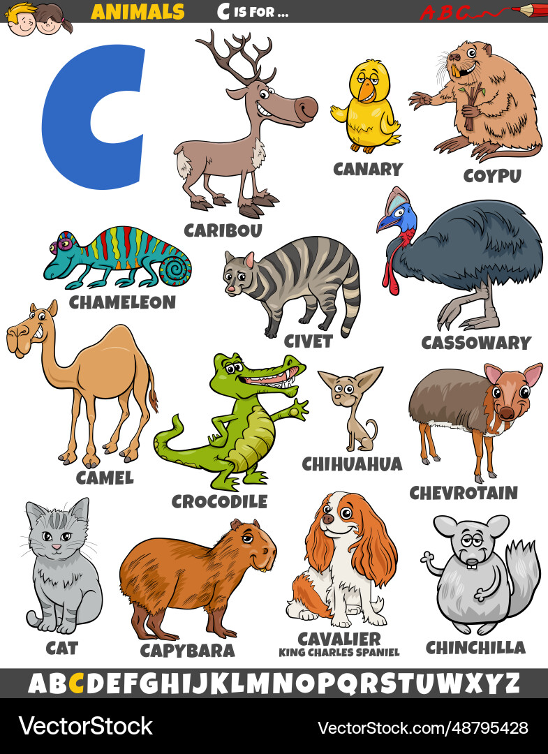 Cartoon animal characters for letter c Royalty Free Vector