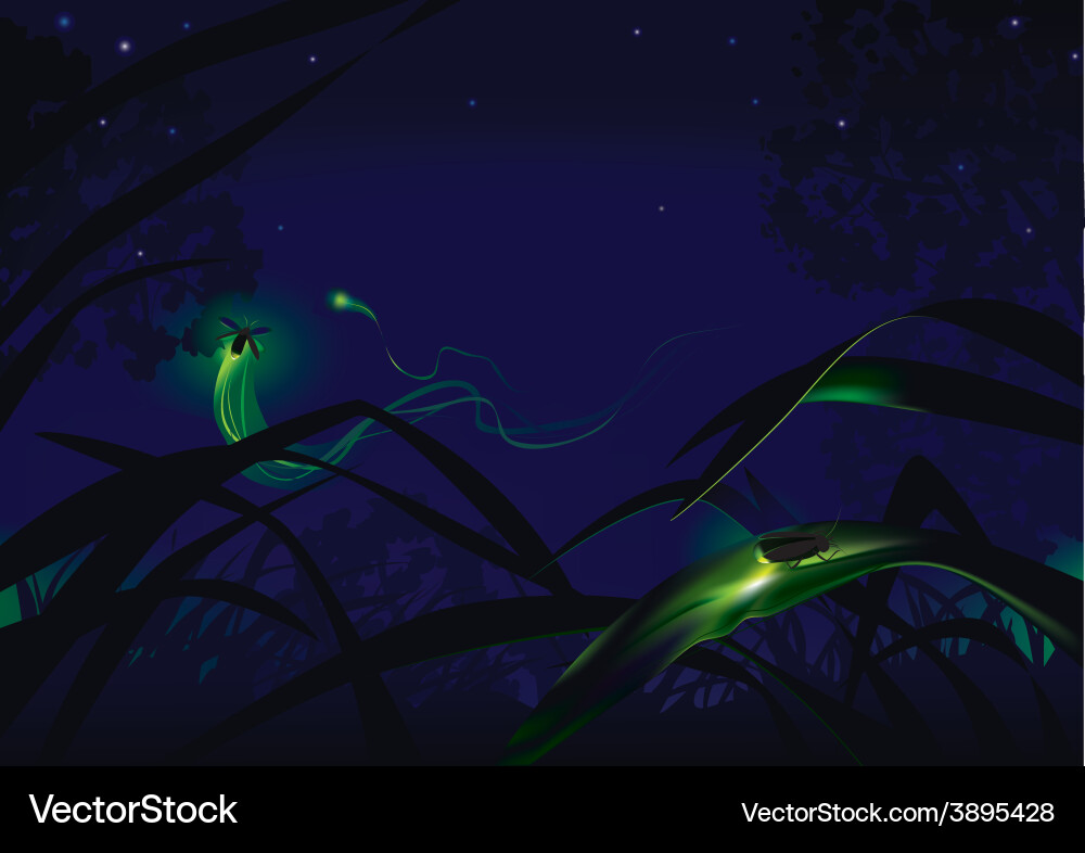 Nighttime Fireflies in Grass Royalty Free Vector Image