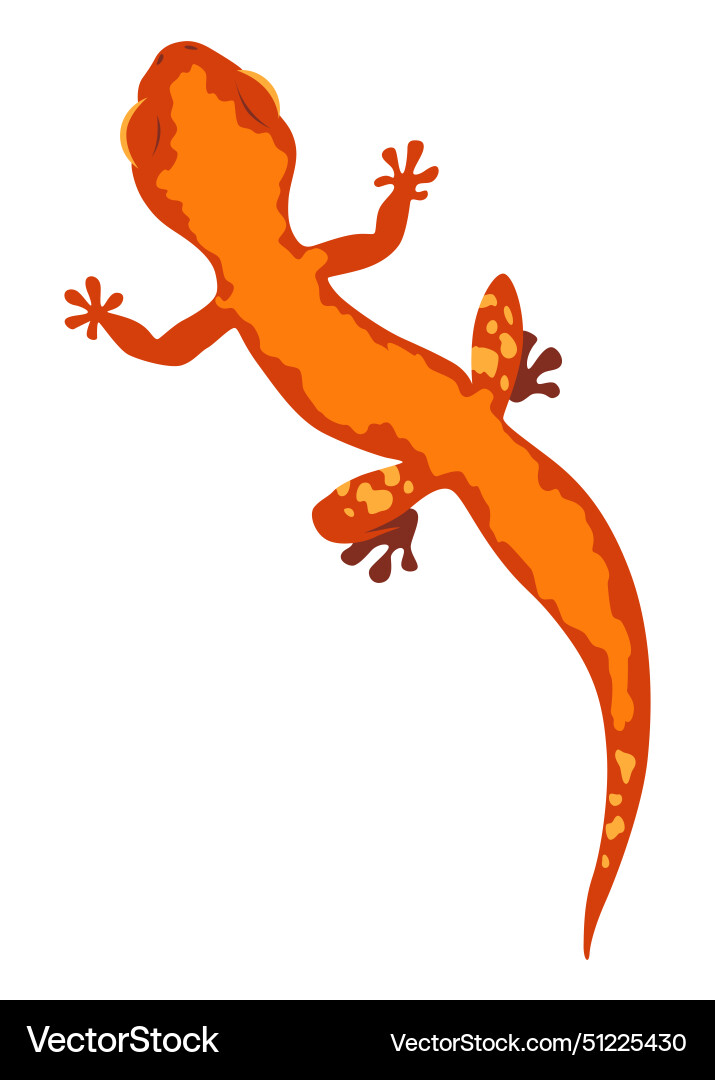 Lizard icon tropical colorful decorative Vector Image