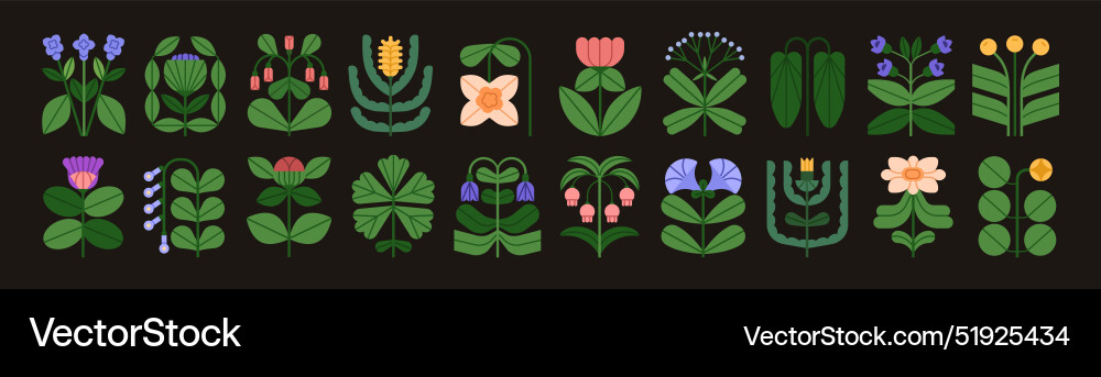 Floral botanical icons elements set flowers Vector Image