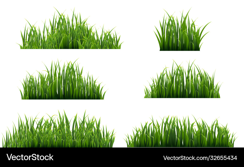 Green grass isolated white background Royalty Free Vector