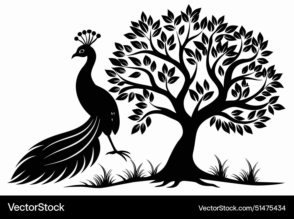 Majestic peacock bird perched on a tree vec Vector Image