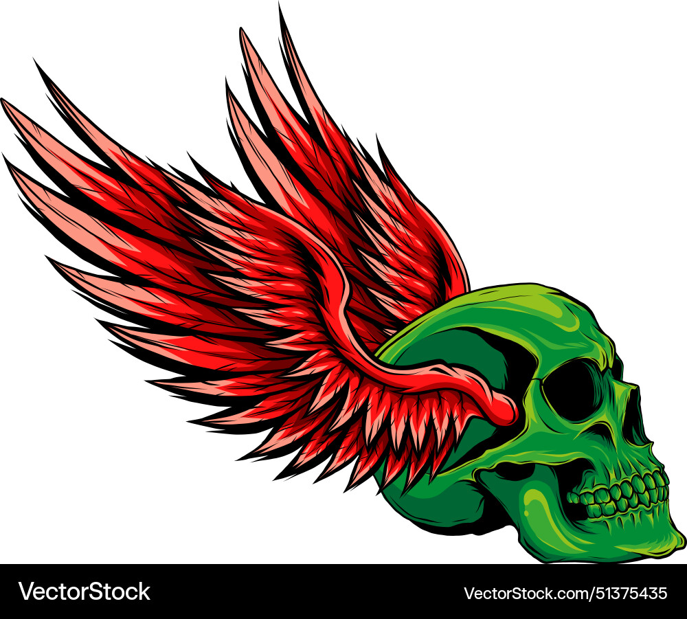 Colored draw of human skull Royalty Free Vector Image