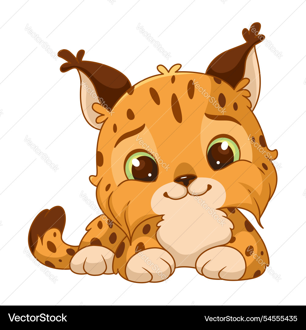 Cute cartoon bobcat character Royalty Free Vector Image