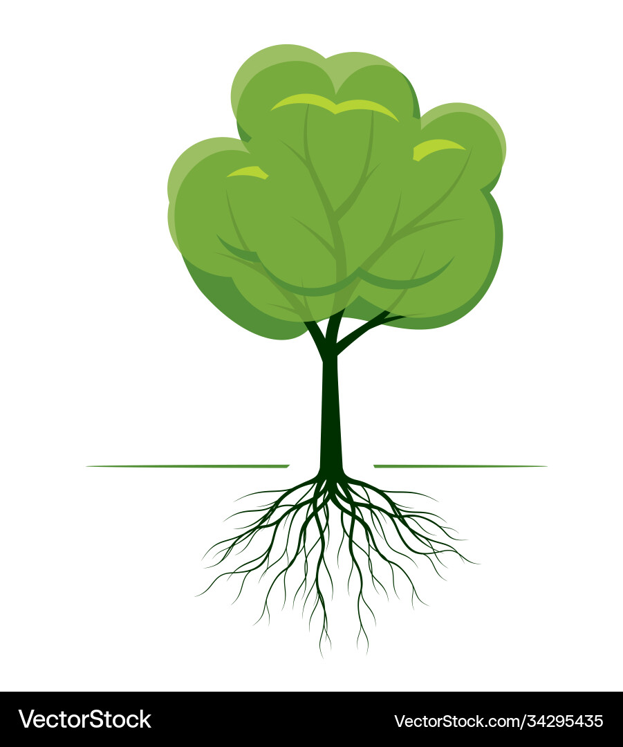 Green tree with roots outline Royalty Free Vector Image