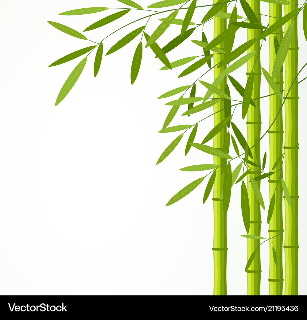 Green Bamboo Stems Royalty Free Vector Image - VectorStock