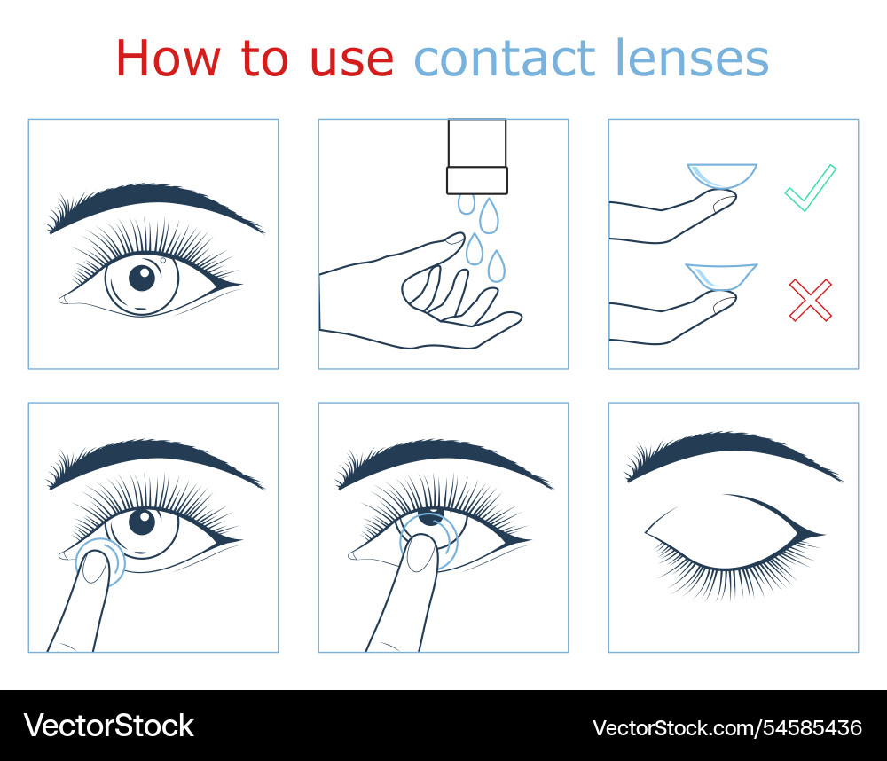 How to use contact lenses concept contour linear Vector Image