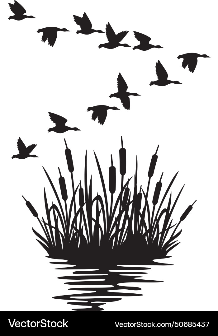 Reed Cattail Cattails Vector Images (over 1,100)