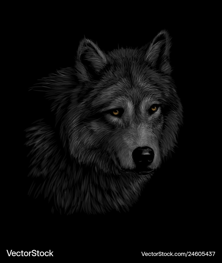 Wolf Nose Vector Images (over 640)