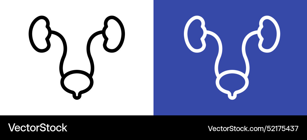 Urinary system logo sign set outline Royalty Free Vector