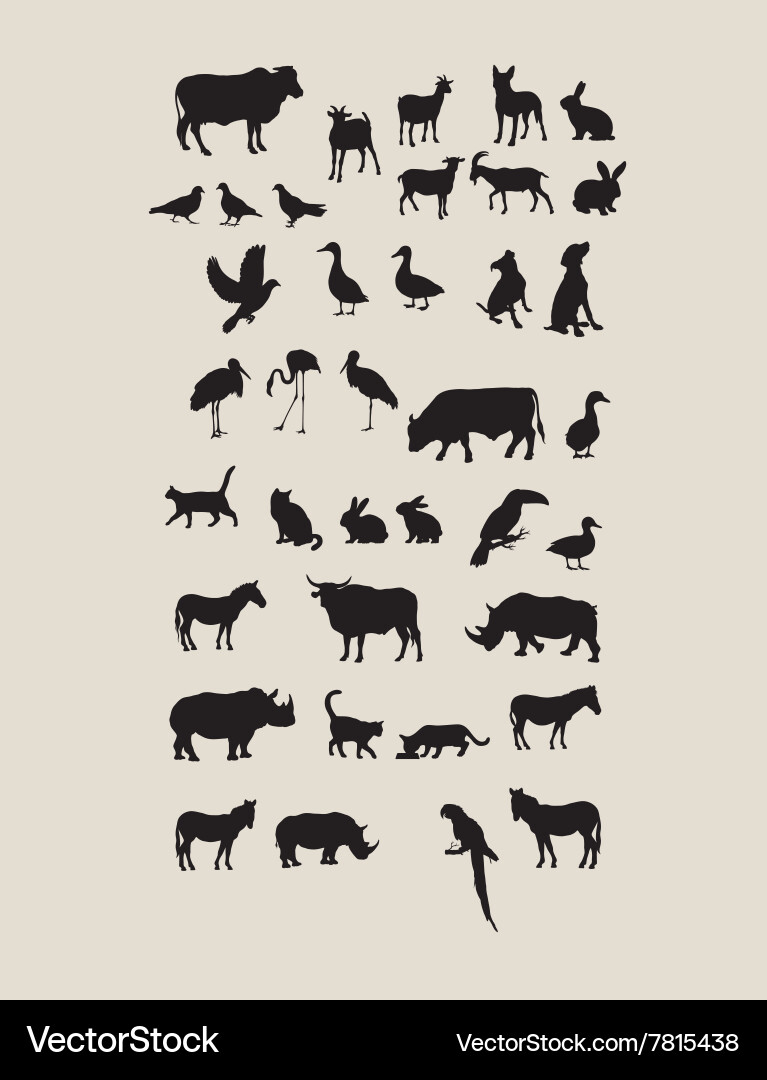 Animal set Royalty Free Vector Image - VectorStock