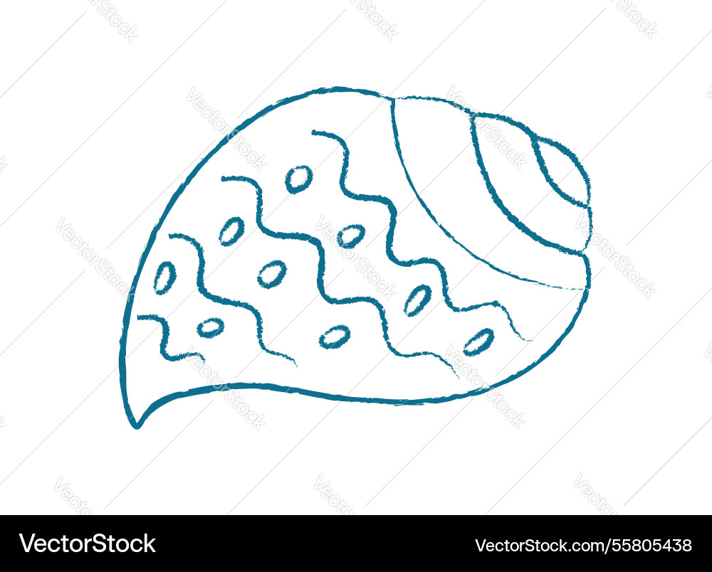 Chalk seashell silhouette Royalty Free Vector Image