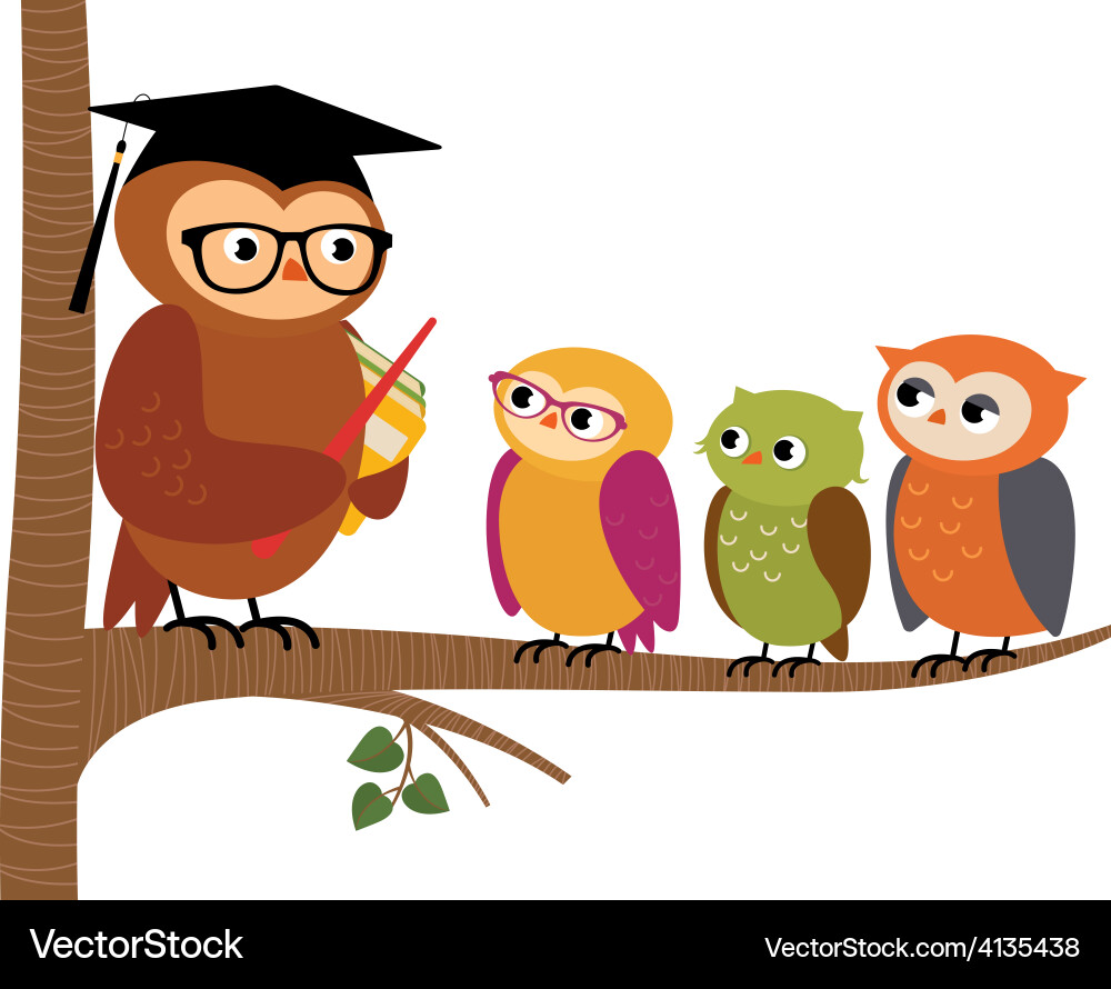 Owl Teacher Owl Themed Teacher Appreciation Gift | Yesterday On