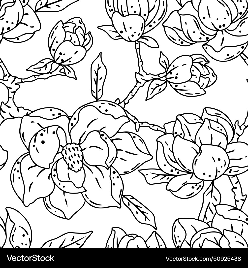 Pattern with magnolia flowers beautiful Royalty Free Vector