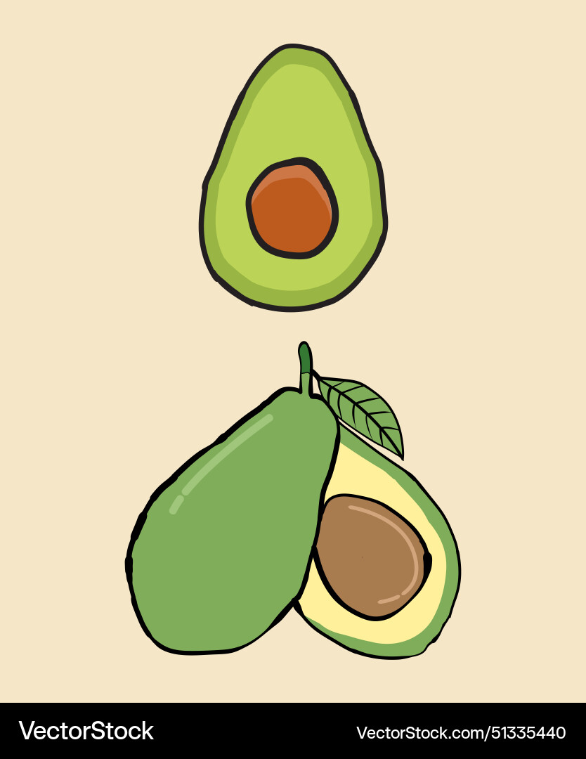 Avocado line art and colorful design Royalty Free Vector