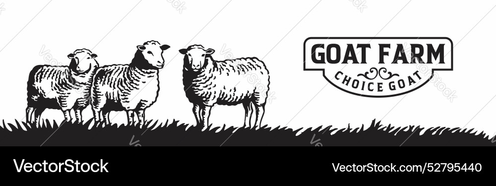 Goat farm Royalty Free Vector Image - VectorStock
