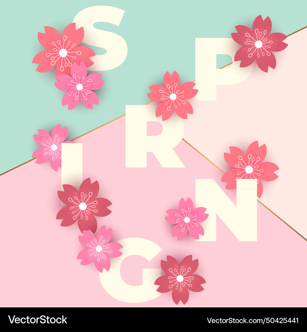 Pink cherry flowers and lettering spring Vector Image