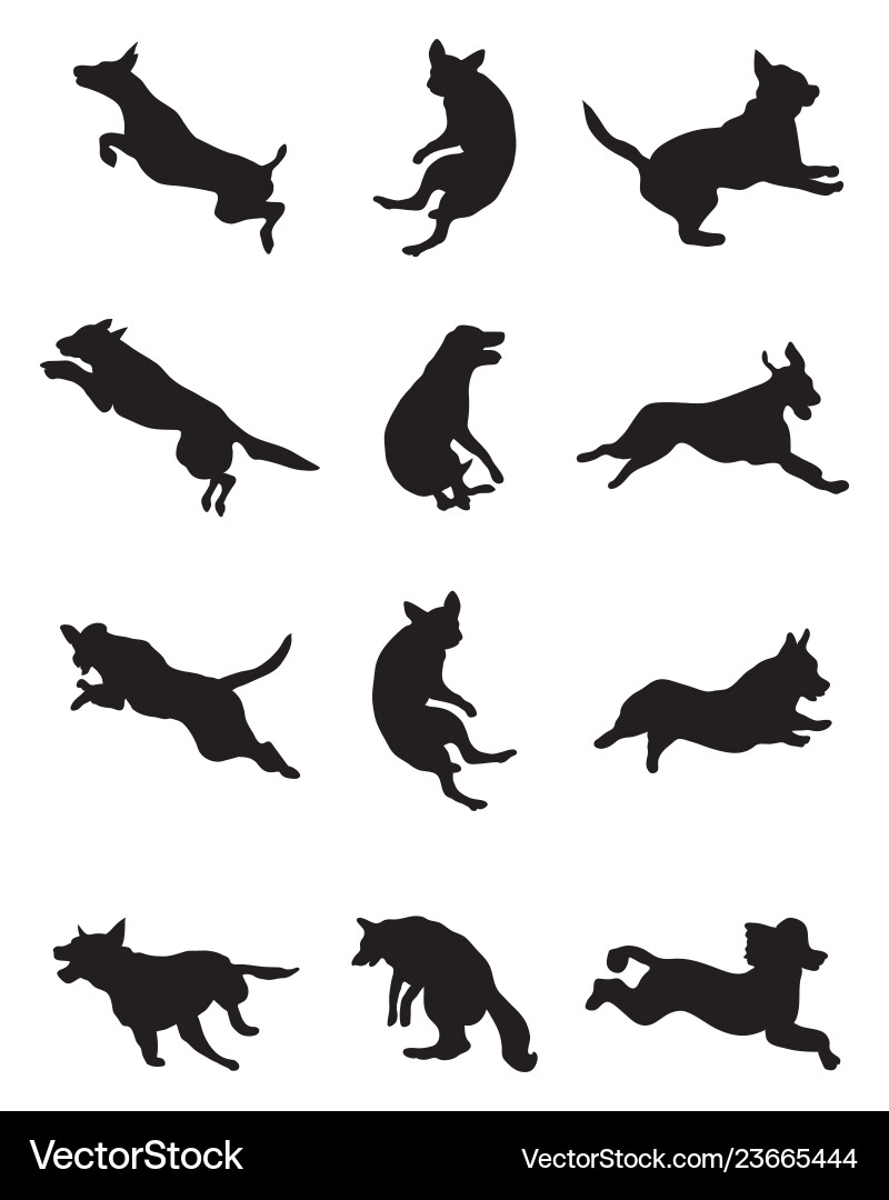 Dogs in a jump Royalty Free Vector Image - VectorStock