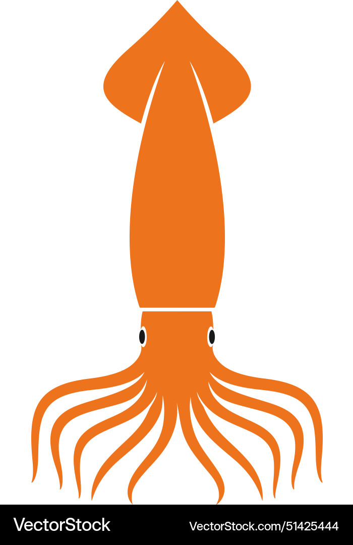 Squid Royalty Free Vector Image - VectorStock