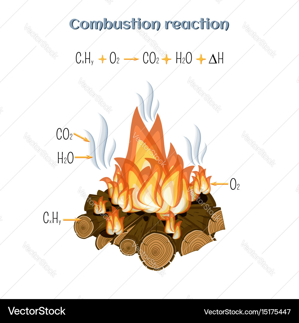 Combustion reaction - wood burning at fire camp Vector Image
