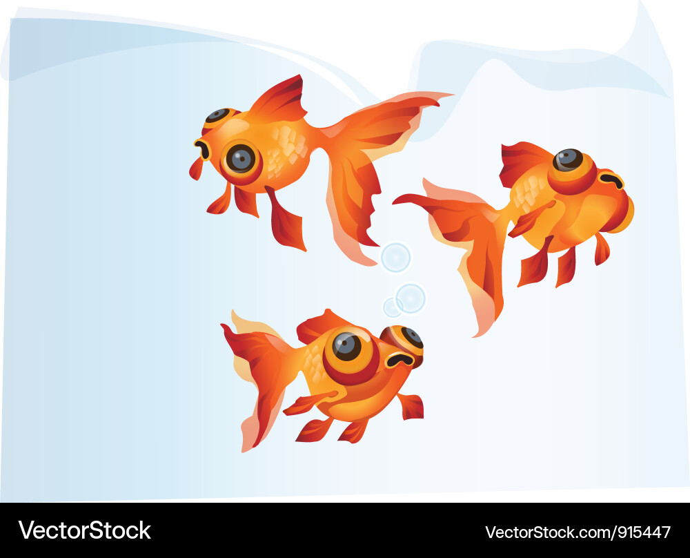Goldfish Royalty Free Vector Image - VectorStock