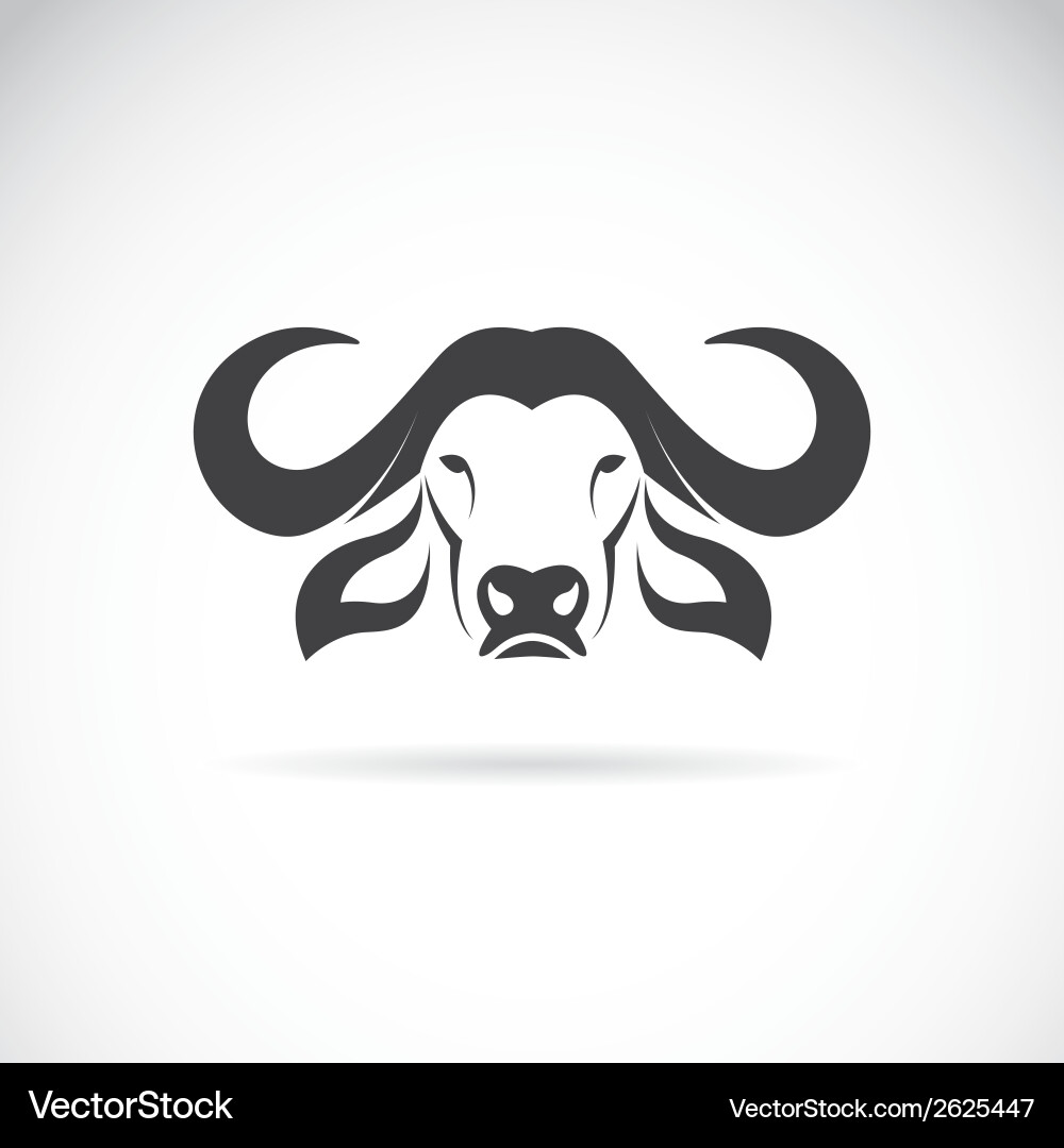 Image of an buffalo head Royalty Free Vector Image