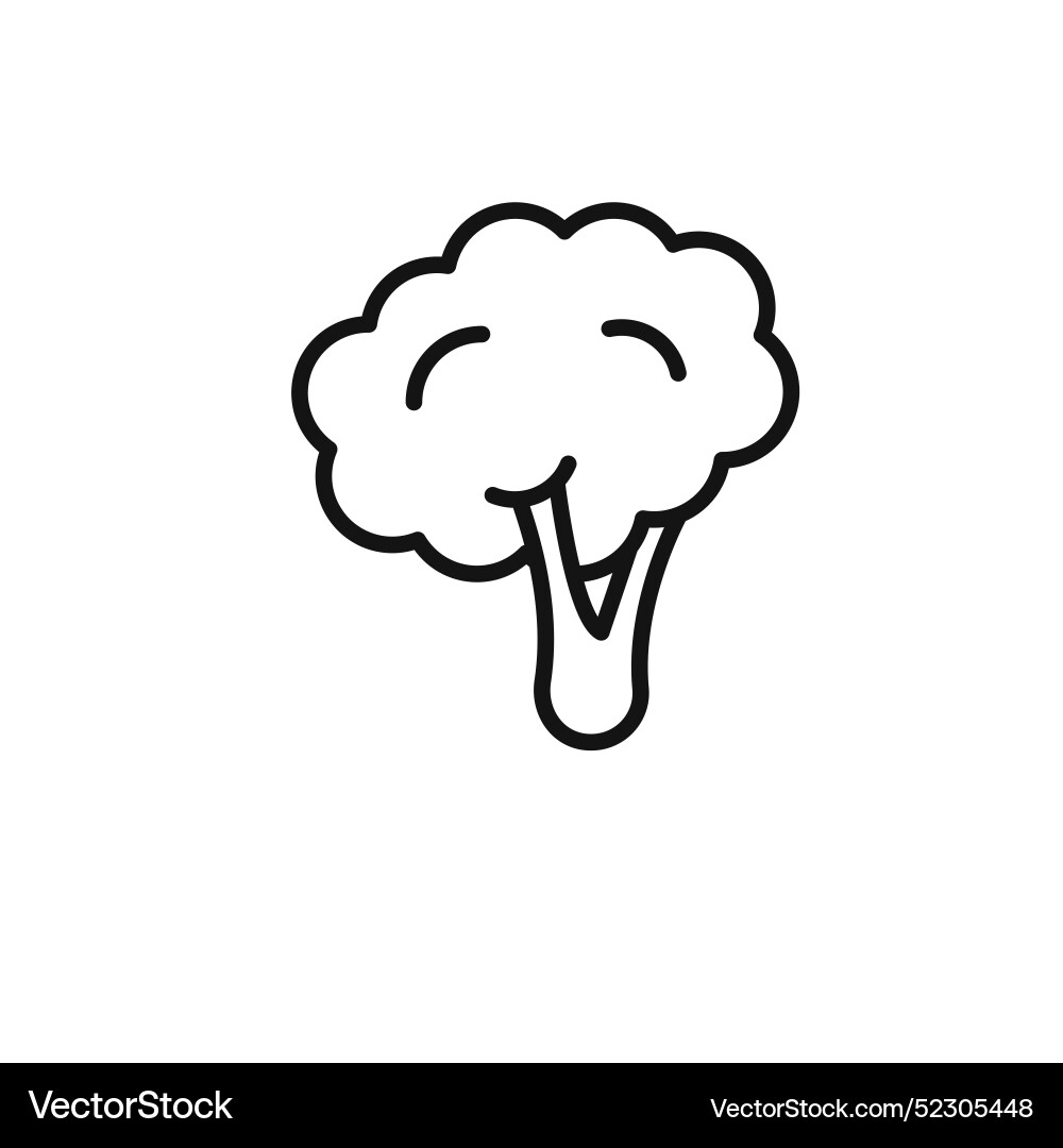Broccoli icon outline collection in black Vector Image